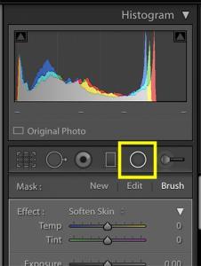 Using the Radial Filter Tool in Lightroom - Hue & Hatchet